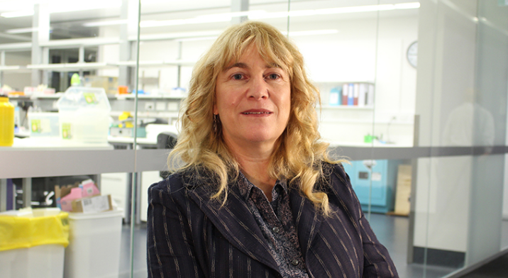 Professor Sally McFadden - HMRI